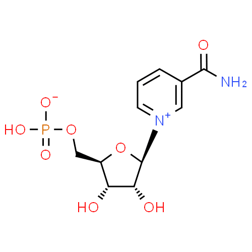 The Ultimate NMN Supplementation Guide What are its Benefits, Side ...