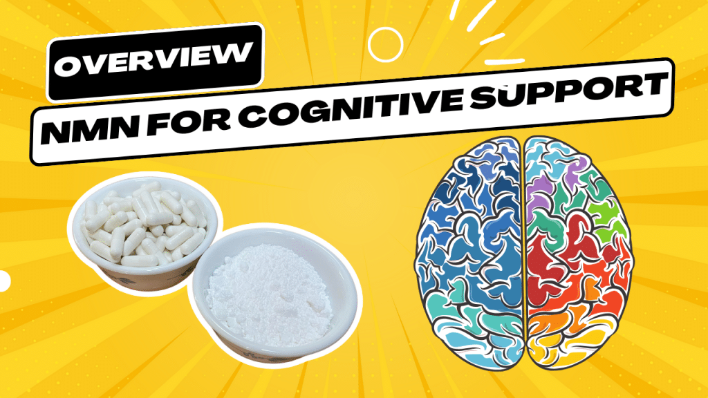 Overview of NMN as a Cognitive Support Supplement Overview of NMN as a Cognitive Support Supplement