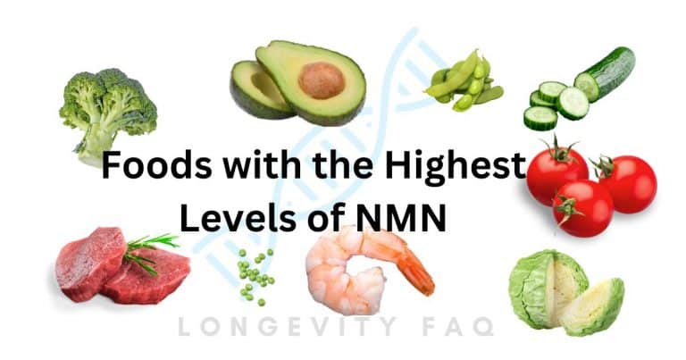 Which Foods Have the Highest Natural Levels of NMN?