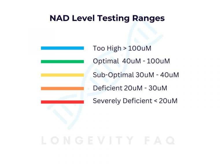 How Much NMN Should I Take? A Guide to Finding Your Optimal NMN Dosage