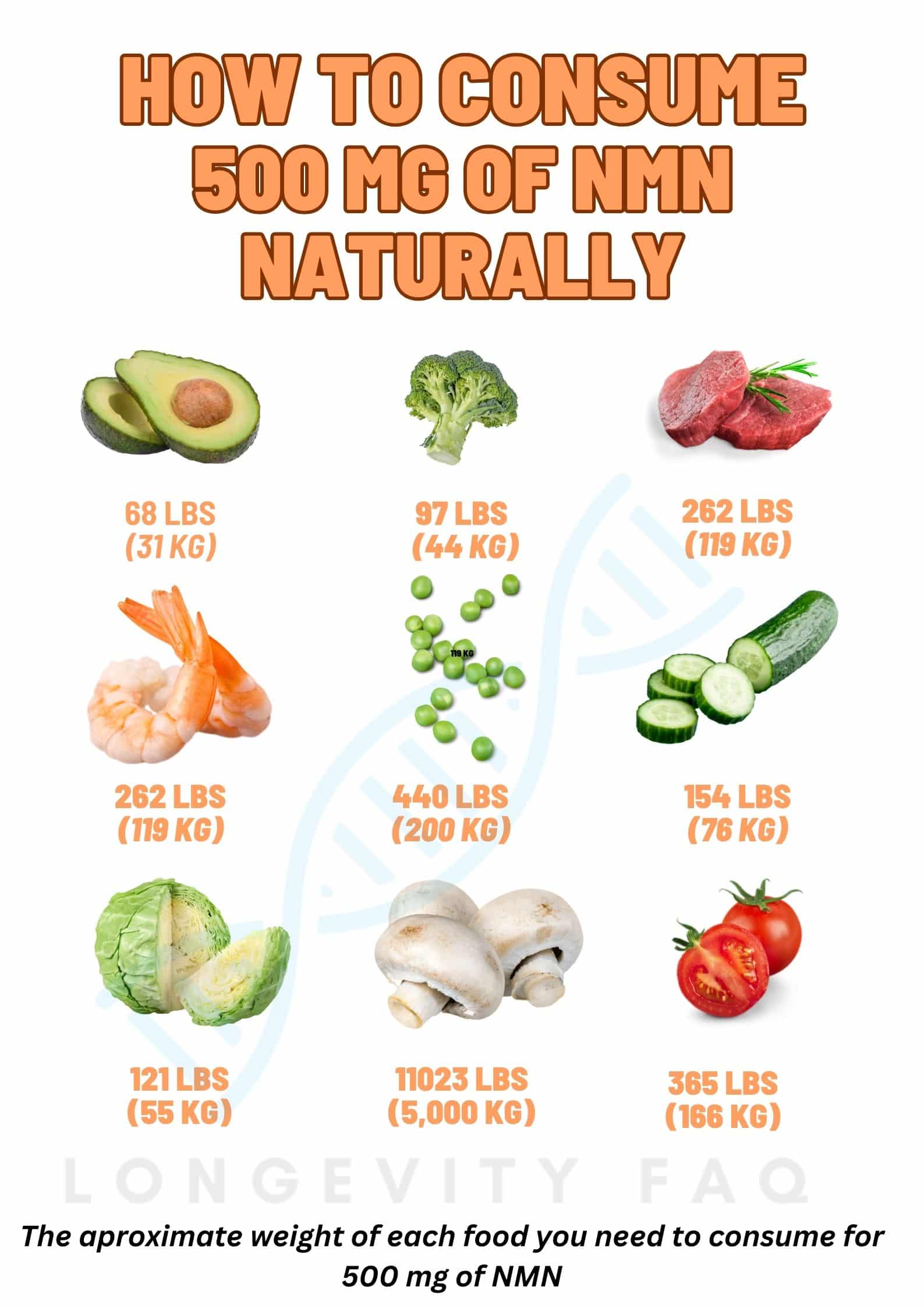 Which Foods Have the Highest Natural Levels of NMN?